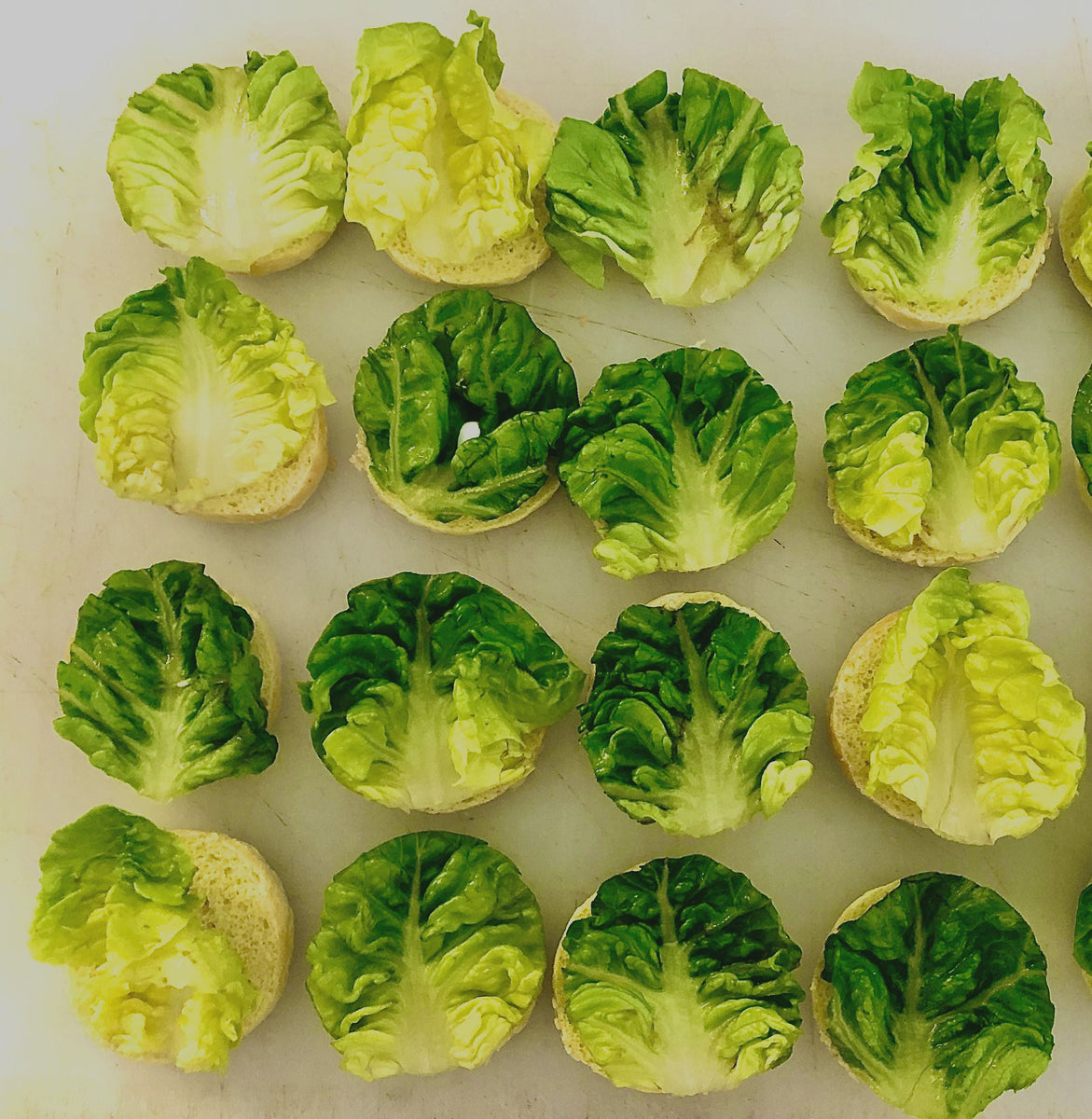 Mini Burgers-Sliders Canapes Catering for your Party